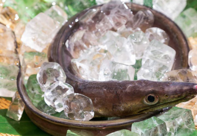 What is Unagi? Japan’s famous Eel Dish | Japan Wonder Travel Blog