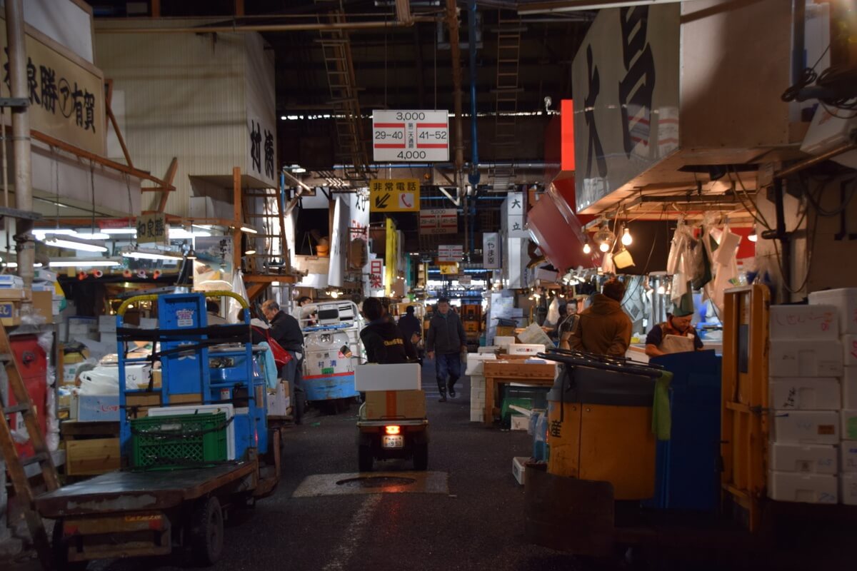 Toyosu Fish Market Ultimate Guide | Japan Wonder Travel Blog