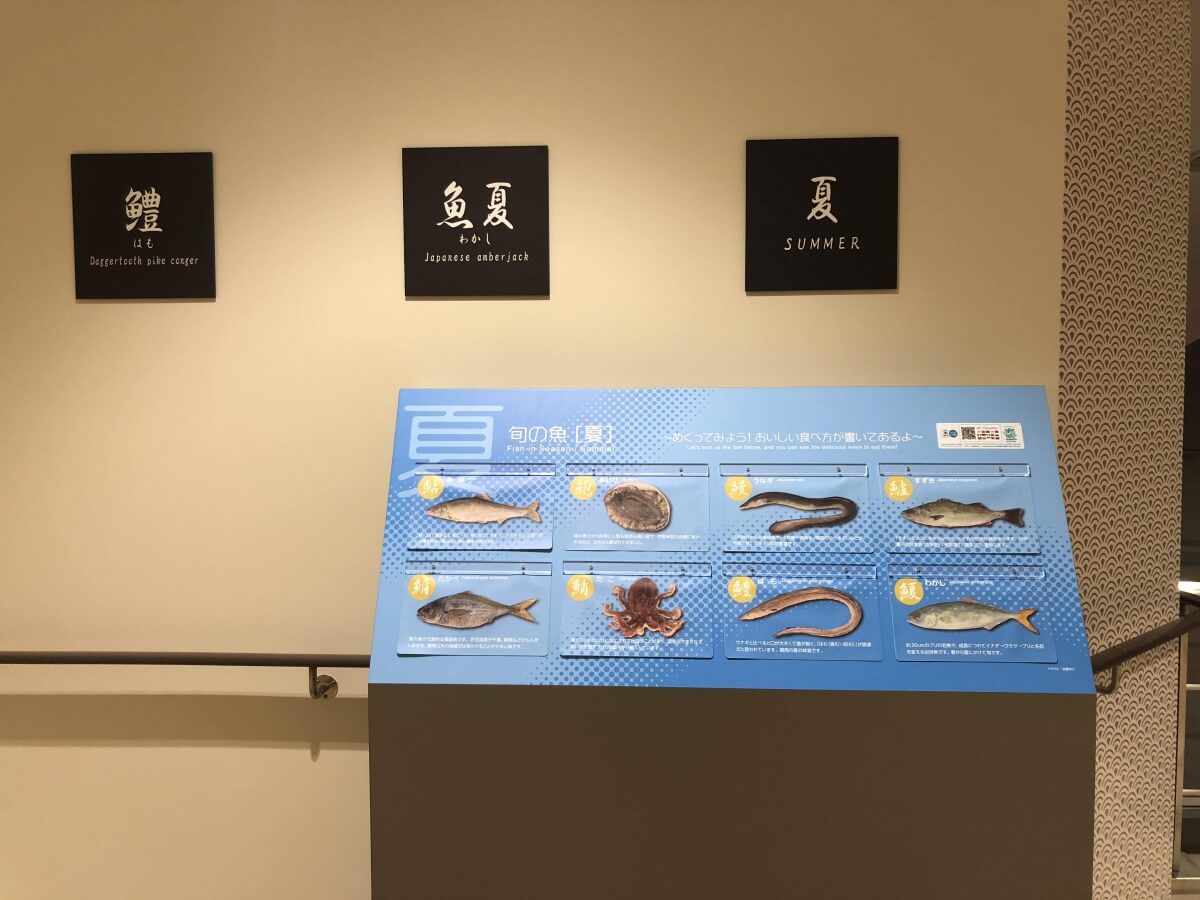 Toyosu Fish Market Ultimate Guide | Japan Wonder Travel Blog