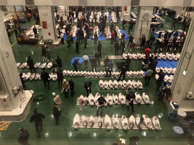 Tsukiji Fish Market Guide: Explore Tokyo’s Iconic Seafood Destination ...