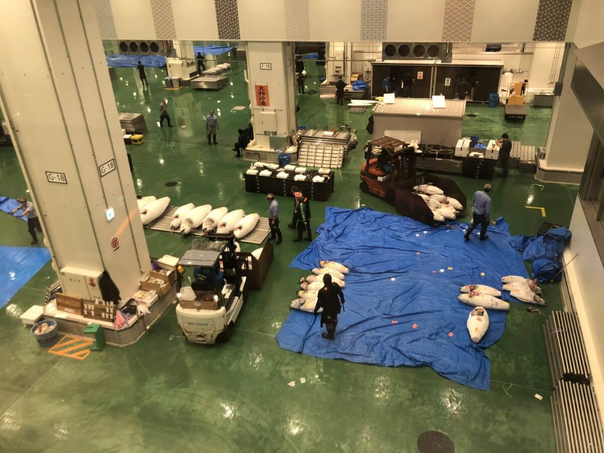 Toyosu Fish Market Ultimate Guide | Japan Wonder Travel Blog