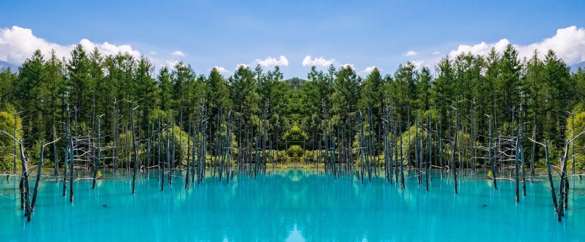 20 Best Summer Destinations in Japan