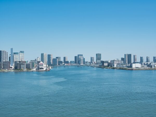 Toyosu Fish Market Ultimate Guide | Japan Wonder Travel Blog