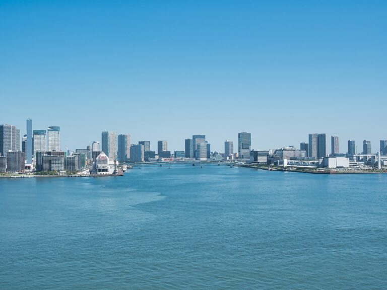 Toyosu Fish Market Ultimate Guide | Japan Wonder Travel Blog