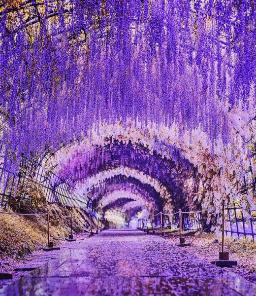 6Hidden Nature Spots in Japan | Japan Wonder Travel Blog
