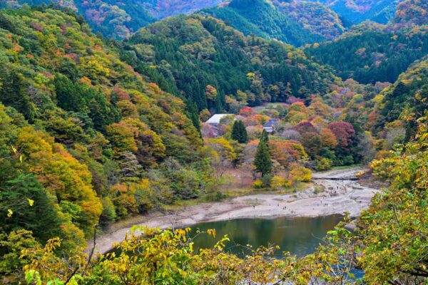 10 Recommended Nature Spots in Tokyo | Japan Wonder Travel Blog