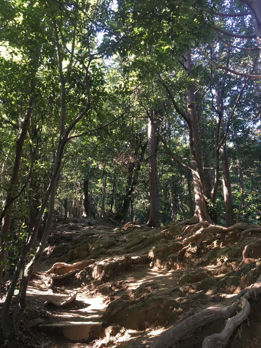 Hiking Mount Takao – The Perfect Day Trip From Tokyo | Japan Wonder ...