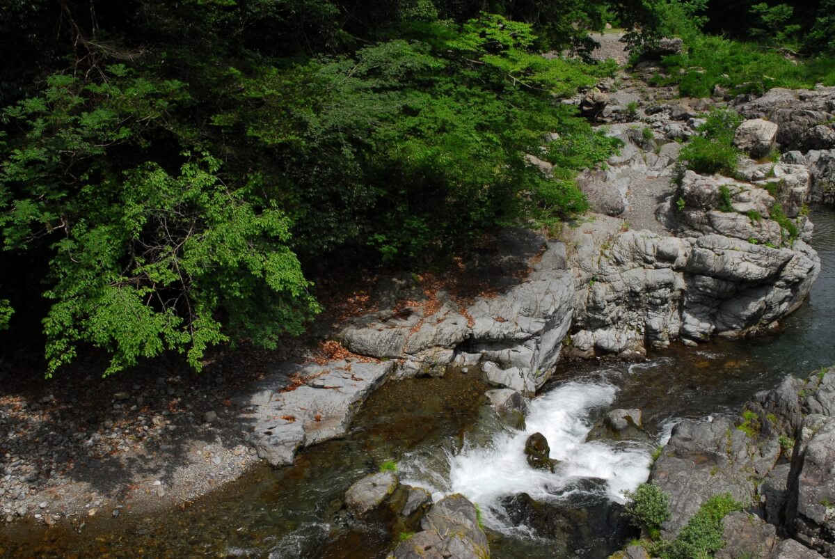 10 Recommended Nature Spots in Tokyo | Japan Wonder Travel Blog