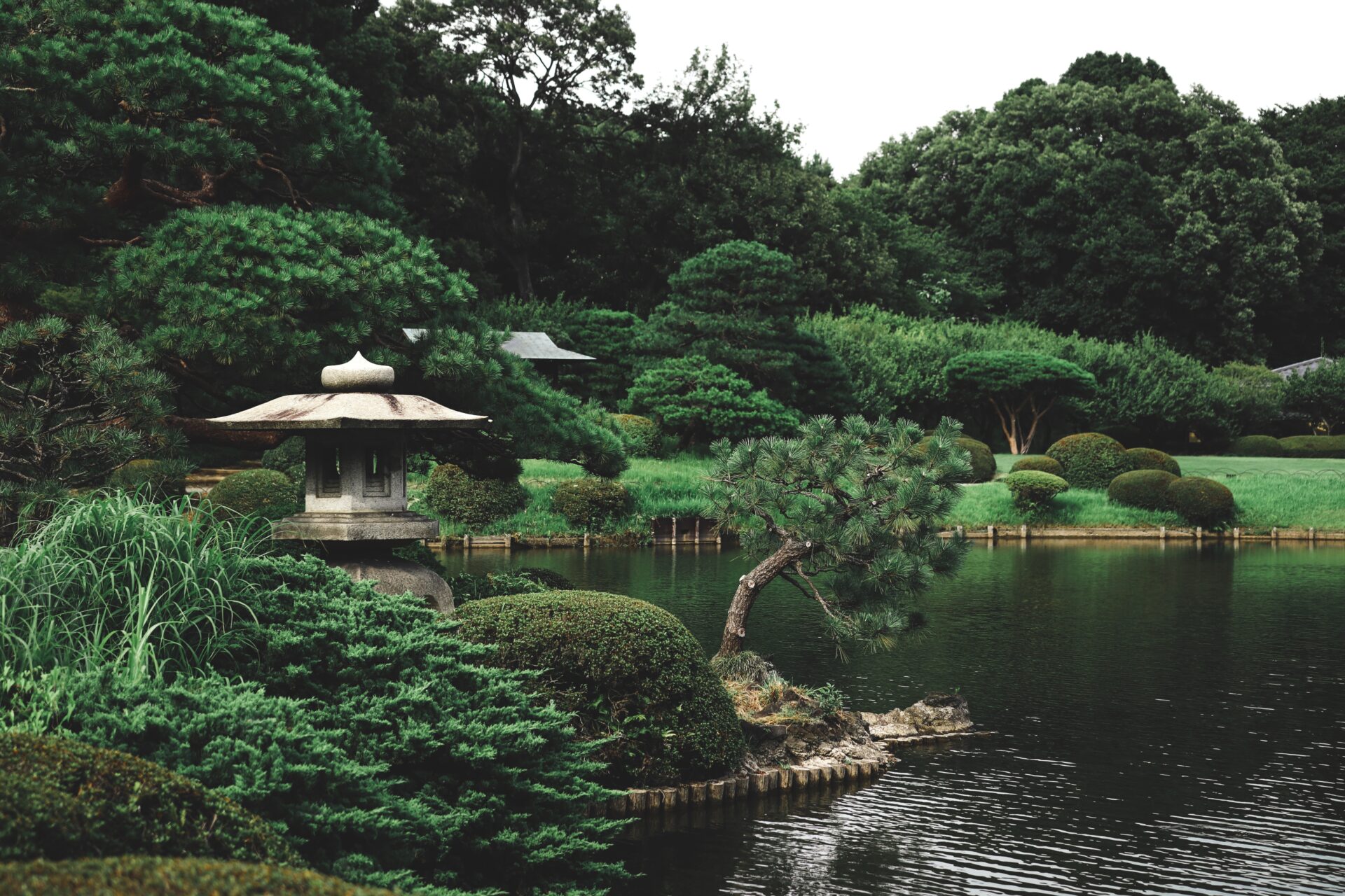 10 Recommended Nature Spots in Tokyo | Japan Wonder Travel Blog