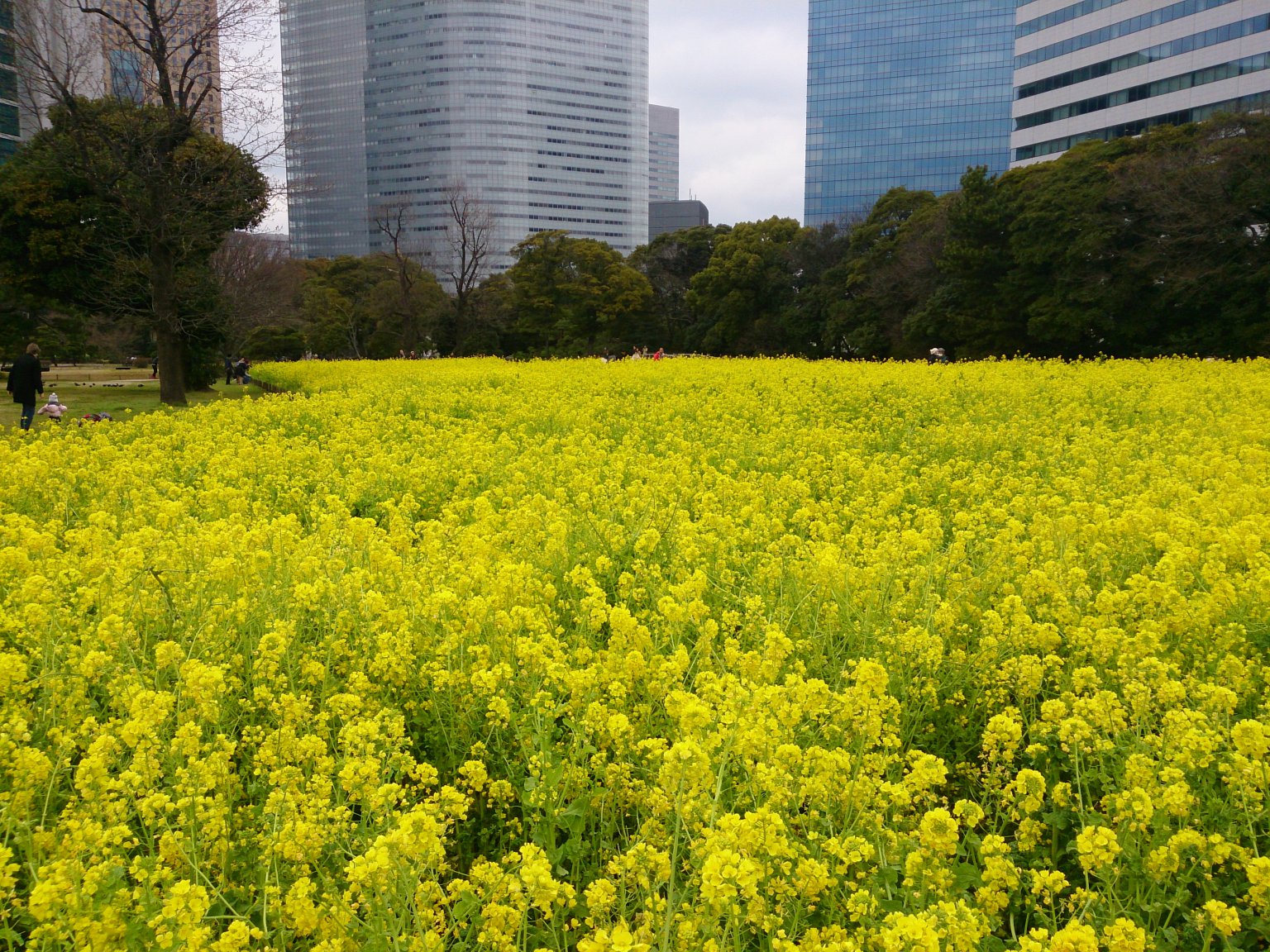 10 Recommended Nature Spots in Tokyo | Japan Wonder Travel Blog