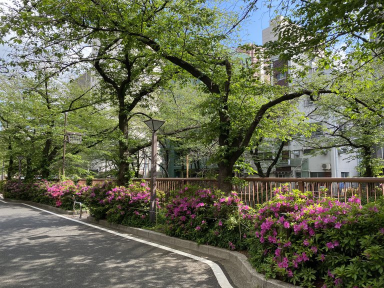 10 Best English Bookstores In Tokyo | Japan Wonder Travel Blog