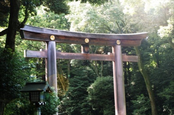 What is Torii Gate? Meaning, Types and Facts | Japan Wonder Travel Blog