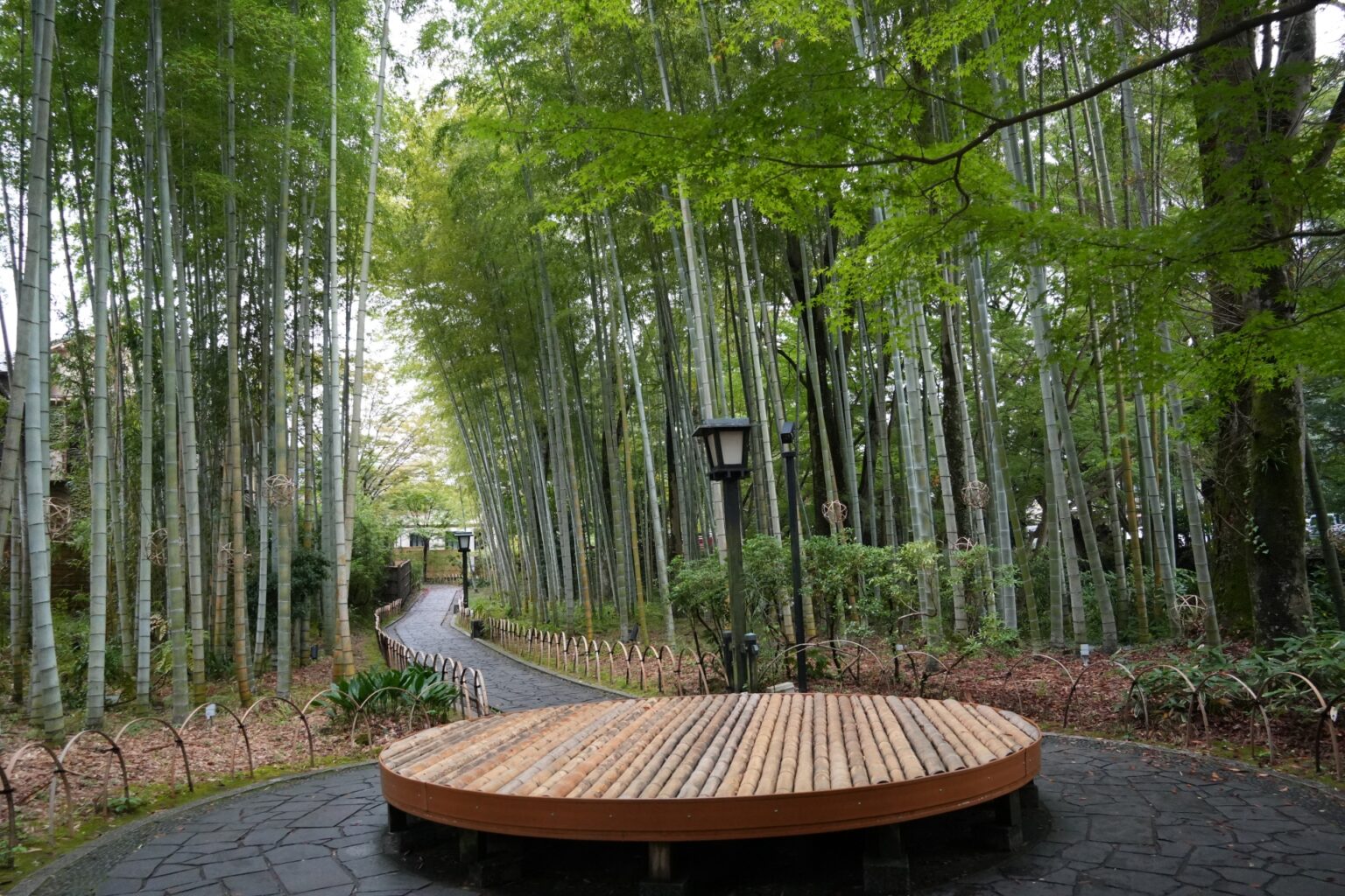 Great Things To Do In Shizuoka: An Overview By Area | Japan Wonder ...