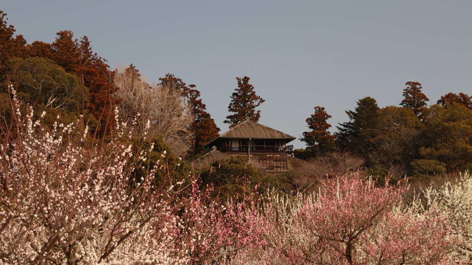 13 Best Tourist Spots in Ibaraki | Japan Wonder Travel Blog