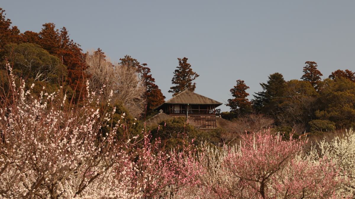 13 Best Tourist Spots in Ibaraki | Japan Wonder Travel Blog