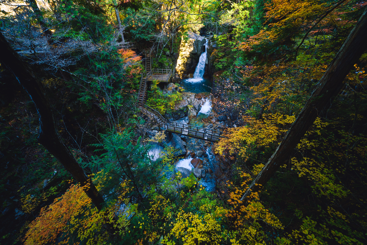 Gifu Attractions: 16 Best Things to Do | Japan Wonder Travel Blog