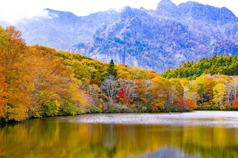 Gifu Attractions: 16 Best Things to Do | Japan Wonder Travel Blog