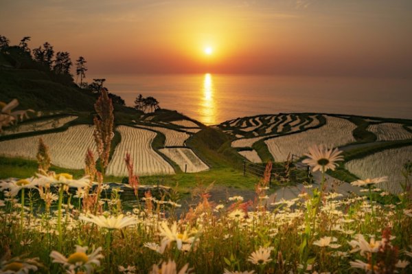 The Best Places to Visit in Ishikawa | Japan Wonder Travel Blog