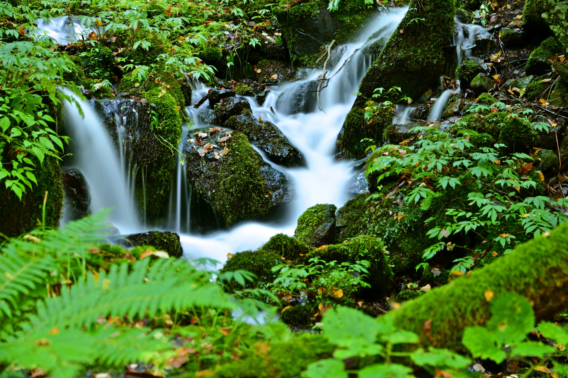 20 Best Summer Destinations in Japan 2024 | Japan Wonder Travel Blog