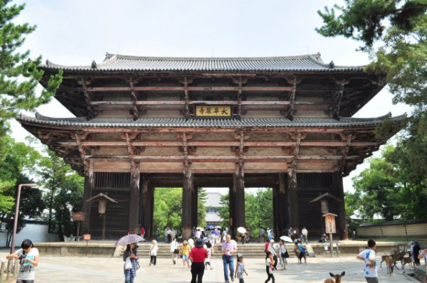 15 Best Things To Do in Nara | Japan Wonder Travel Blog