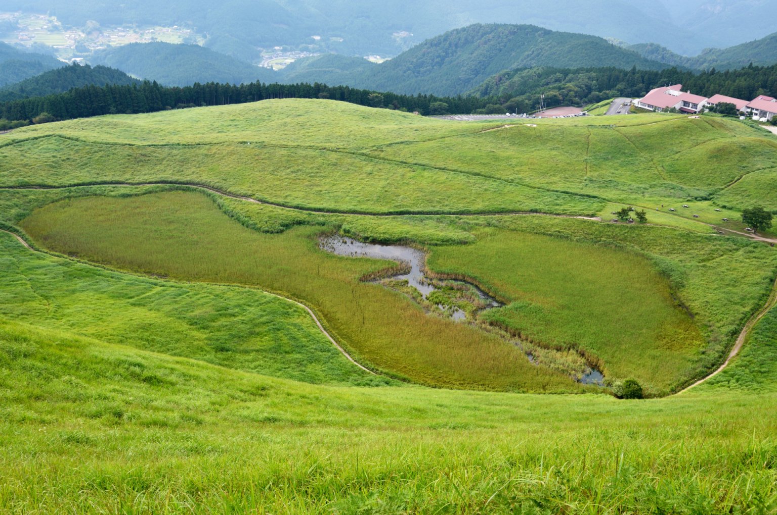 15 Best Things To Do in Nara | Japan Wonder Travel Blog