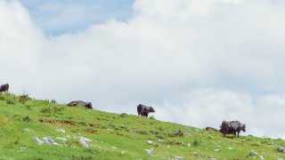 The Best Places to Visit in Ishikawa | Japan Wonder Travel Blog