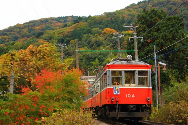20 Places to See Autumn Leaves in Japan 2024 | Japan Wonder Travel Blog