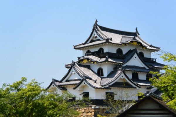 12 Original Castles in Japan that Survived Turbulent Times | Japan ...