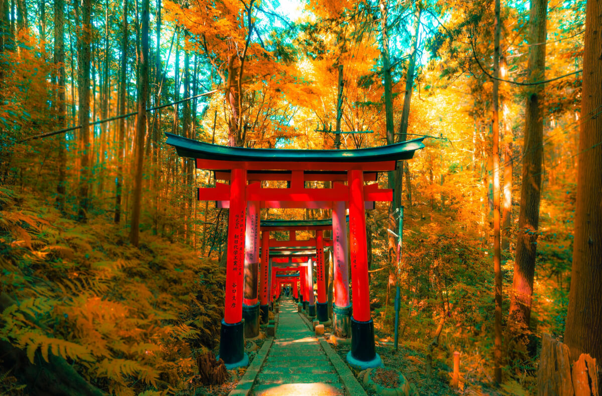 25 Popular Tourist Attractions in Japan | Japan Wonder Travel Blog