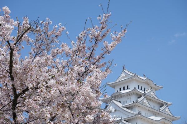 12 Original Castles in Japan that Survived Turbulent Times | Japan ...