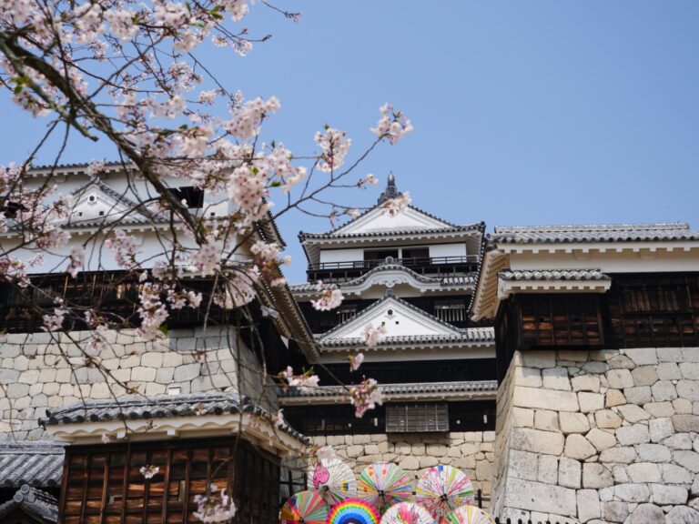 12 Original Castles in Japan that Survived Turbulent Times | Japan ...