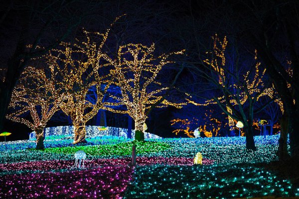17 Best Christmas and Winter Illuminations in Tokyo 2023-2024 | Japan ...