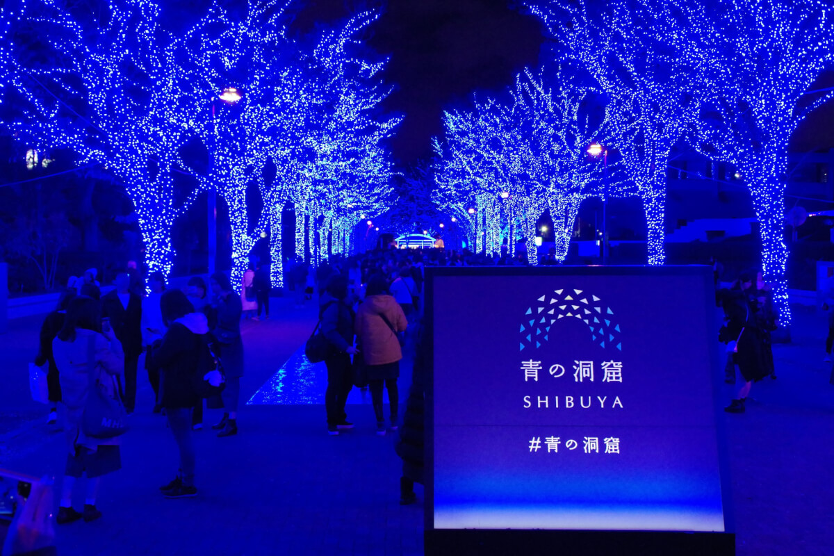 17 Best Christmas and Winter Illuminations in Tokyo 2023-2024 | Japan ...