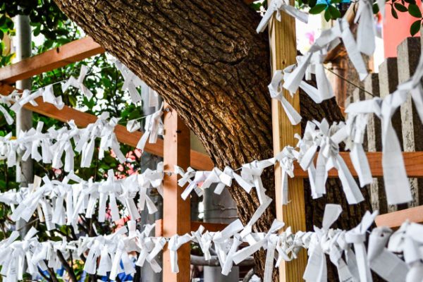 How to Pray at Japanese Shinto Shrines | Japan Wonder Travel Blog