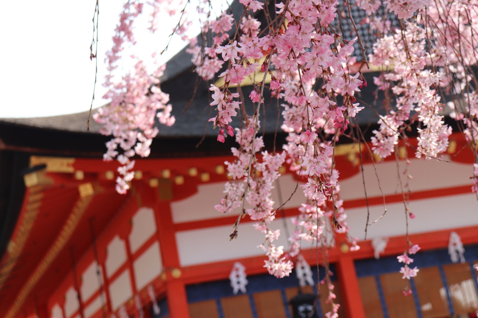 A Complete Guide to Fushimi Inari Shrine | Japan Wonder Travel Blog