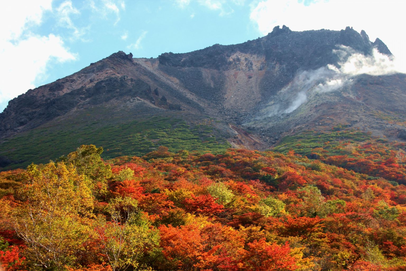 Nature Spots near Tokyo for a 1 day trip | Japan Wonder Travel Blog