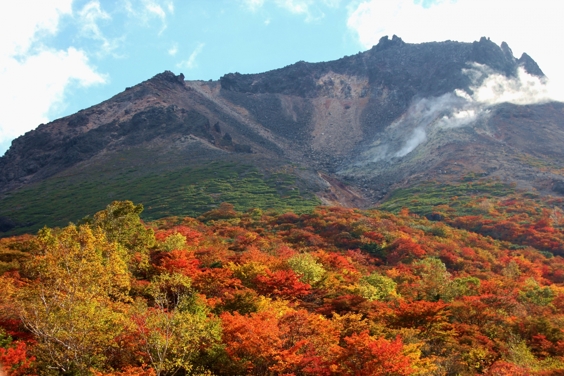 Nature Spots near Tokyo for a 1 day trip | Japan Wonder Travel Blog