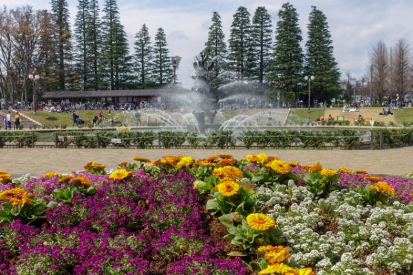 Discover 10 fun things to do in Setagaya – Tokyo’s Trendy District ...