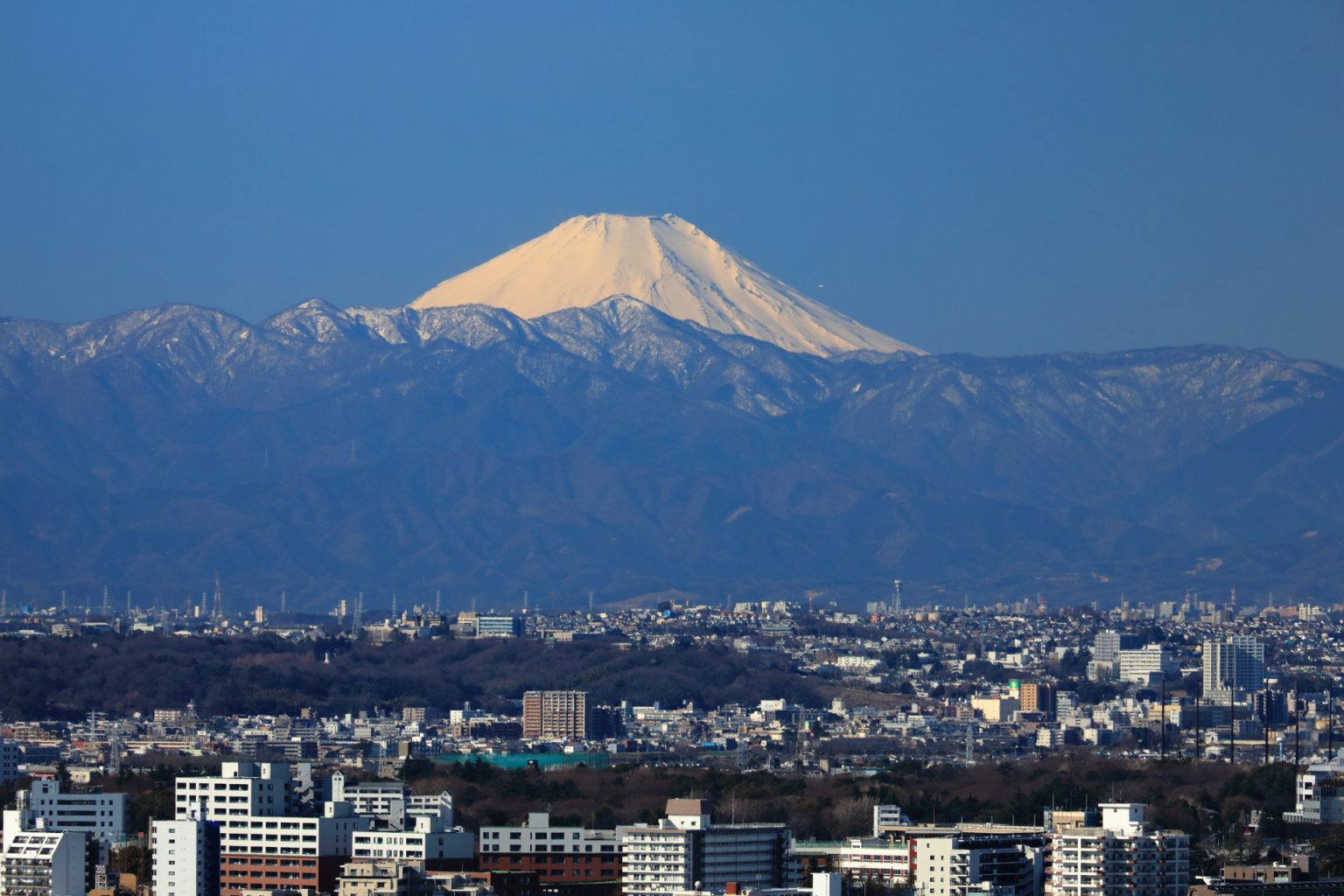 Discover 10 fun things to do in Setagaya – Tokyo’s Trendy District ...
