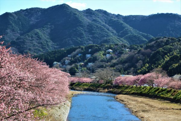 10 Best Spring Destinations in Japan in 2021