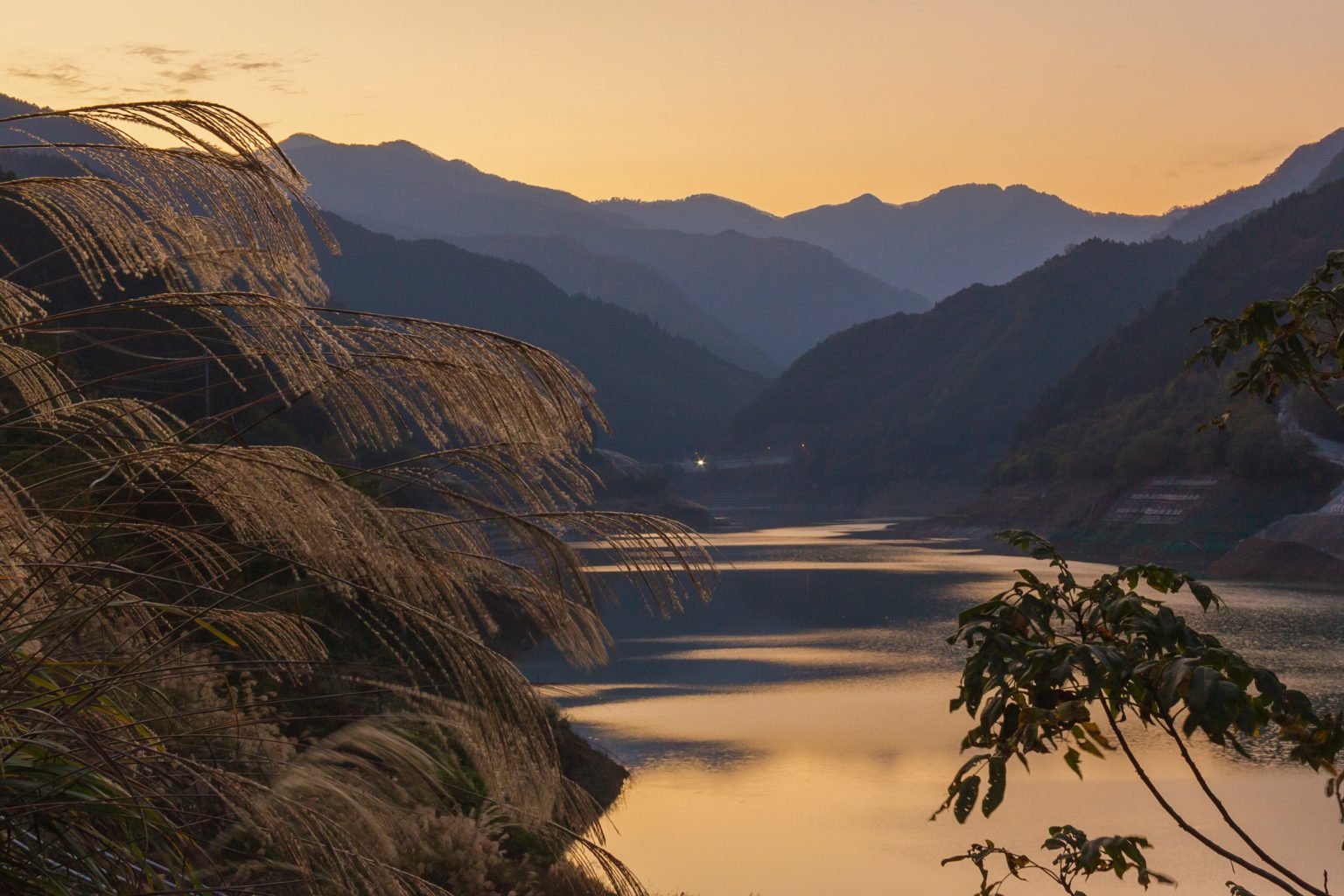 Nature Spots near Tokyo for a 1 day trip | Japan Wonder Travel Blog