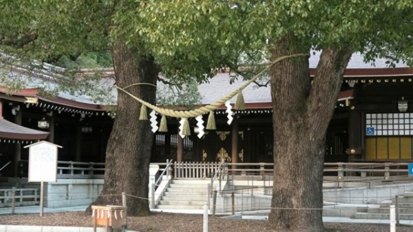 Complete Guide To The Meiji Jingu Shrine | Japan Wonder Travel Blog