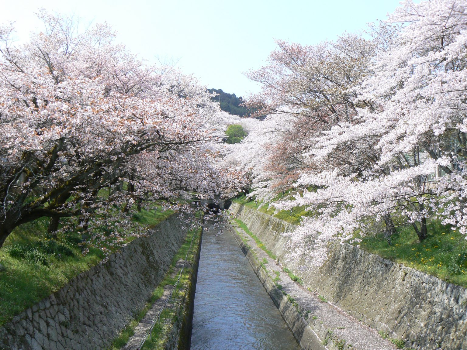 10 Best Destinations for Cycling in Japan | Japan Wonder Travel Blog