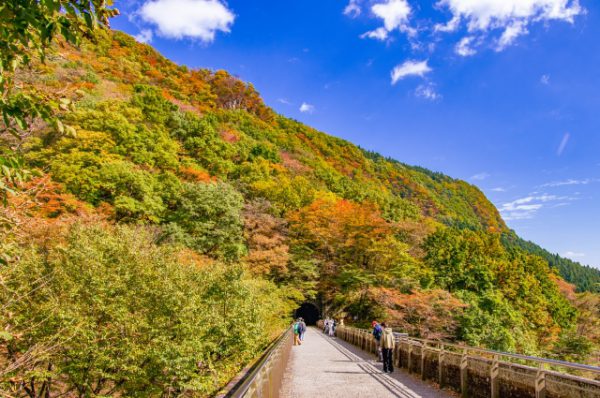 6 Popular Multi-Day Hikes in Japan | Japan Wonder Travel Blog