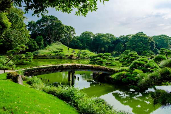 10 Recommended Nature Spots in Tokyo | Japan Wonder Travel Blog