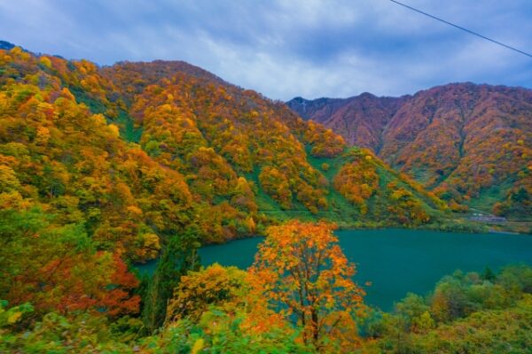 10 Most Scenic Train Rides in Japan | Japan Wonder Travel Blog