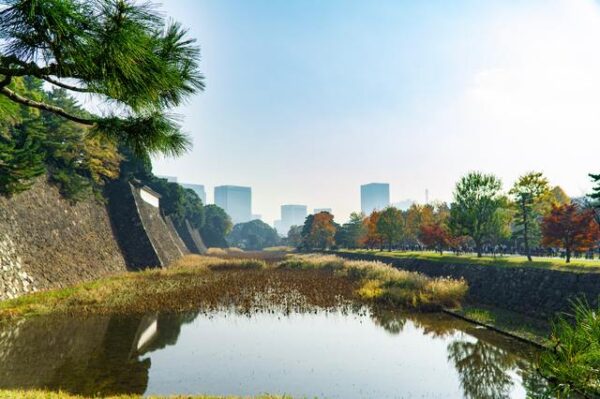 10 Best Things to Do near Tokyo Station | Japan Wonder Travel Blog