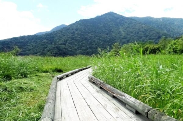 Shinrin-Yoku: 10 Places To Practice Forest Bathing In and Near Tokyo ...