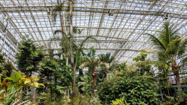 5 Best Botanical Gardens & Greenhouses in Tokyo | Japan Wonder Travel Blog