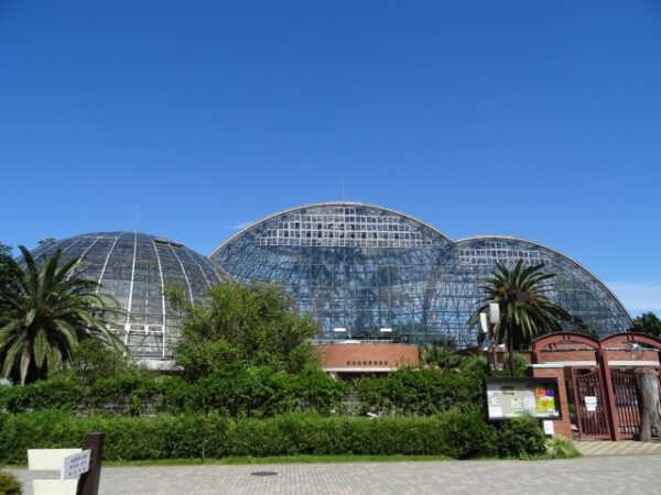 5 Best Botanical Gardens & Greenhouses in Tokyo | Japan Wonder Travel Blog